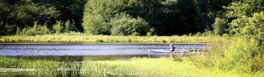 Campground Details - CHAPMAN STATE PARK, PA - Pennsylvania State Parks