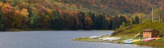 Campground Details - LYMAN RUN STATE PARK, PA - Pennsylvania State Parks