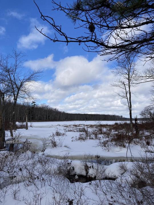 Campground Details - Delaware State Forest, PA - Pennsylvania State Parks