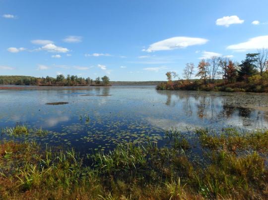 Campground Details - Delaware State Forest, PA - Pennsylvania State Parks