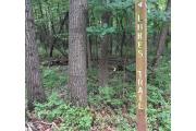 Campground Details - Weiser State Forest, PA - Pennsylvania State Parks