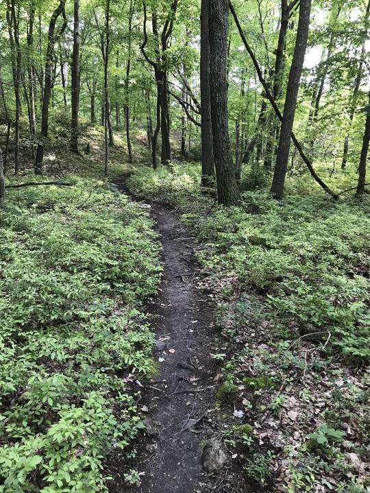 Campground Details - Weiser State Forest, PA - Pennsylvania State Parks
