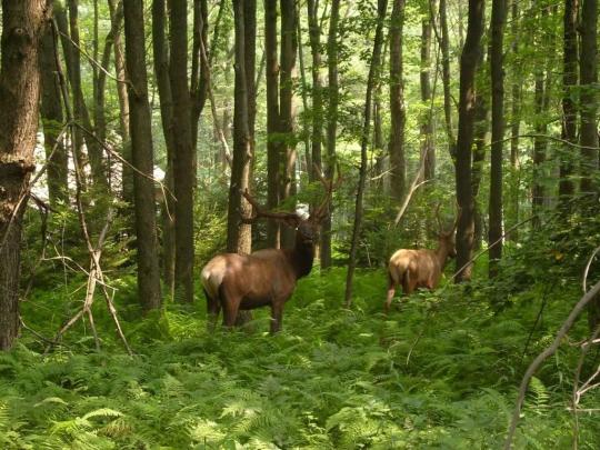 Search for Places (Results) - Pennsylvania State Parks
