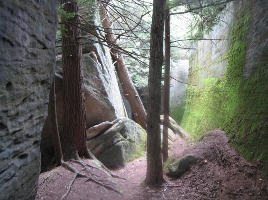 Campground Details - Sproul State Forest, PA - Pennsylvania State Parks