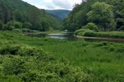 Campground Details - Tioga State Forest, PA - Pennsylvania State Parks