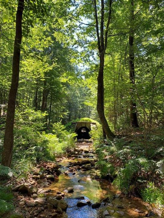 Pennsylvania Campgrounds and Camping - Pennsylvania State Parks