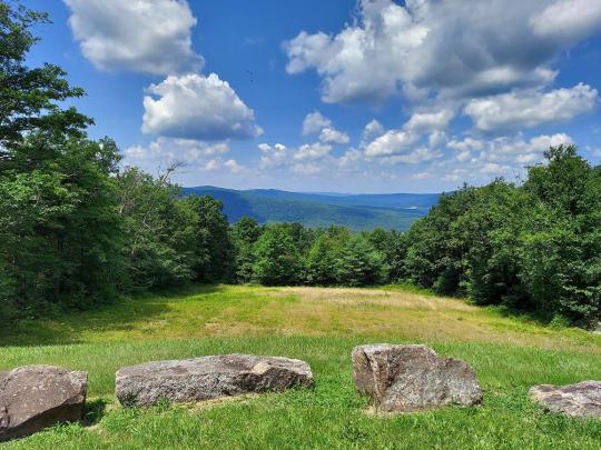 Campground Details - Buchanan State Forest, PA - Pennsylvania State Parks
