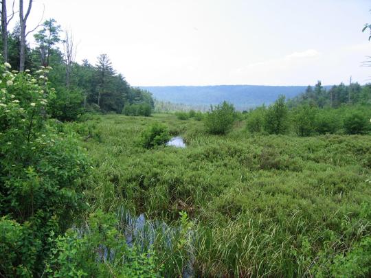 Campground Details - Rothrock State Forest, PA - Pennsylvania State Parks