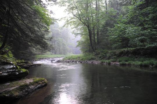 Campground Details - Rothrock State Forest, PA - Pennsylvania State Parks