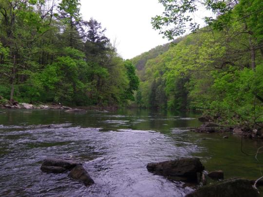 Campground Details - Rothrock State Forest, PA - Pennsylvania State Parks