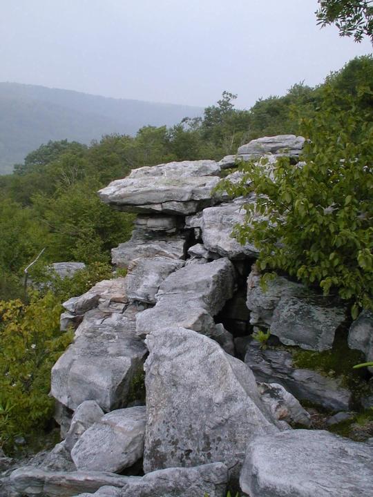 Campground Details - Forbes State Forest, PA - Pennsylvania State Parks
