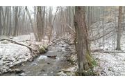 Campground Details - Forbes State Forest, PA - Pennsylvania State Parks