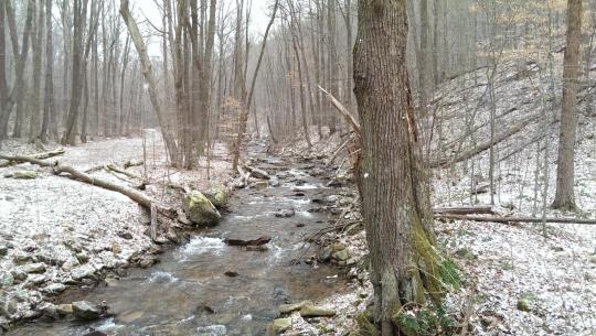 Campground Details - Forbes State Forest, PA - Pennsylvania State Parks