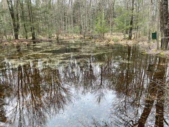 Facility Details - Cornplanter State Forest, PA - Pennsylvania State Parks